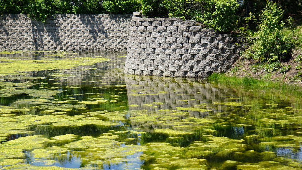 Shoreline Restoration | Love Your Lake